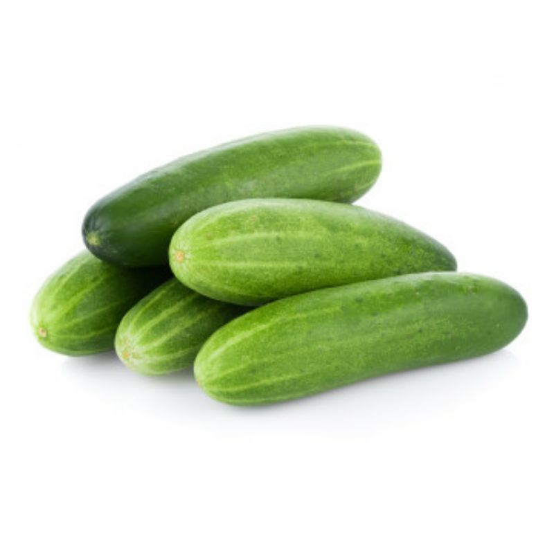 Jual Sayur Sayuran Timun / Ketimun Baby Segar dan Fresh Belanja Sayur ...