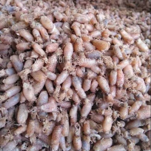 Jual Baby cumi kering grade 2 (500 gram) | Shopee Indonesia