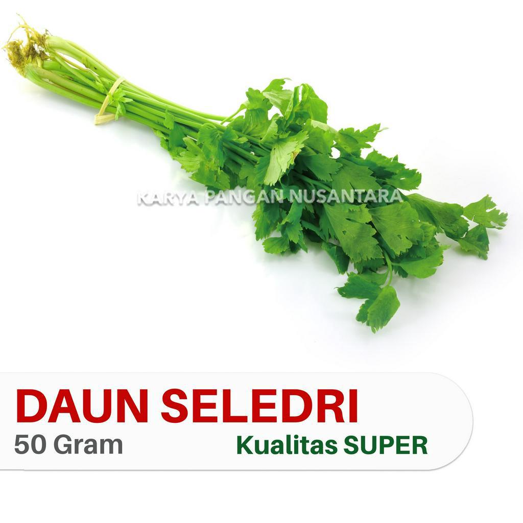 Jual SAYUR SELEDRI DAUN SELEDRI SEGAR DAUN SOP CELERY | Shopee Indonesia