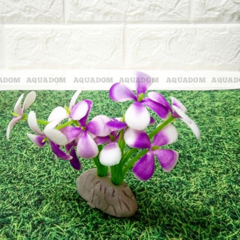 Jual HIASAN AQUARIUM TANAMAN RUMPUT ORNAMEN BATU DAN KERANG LAUT ASLI ...