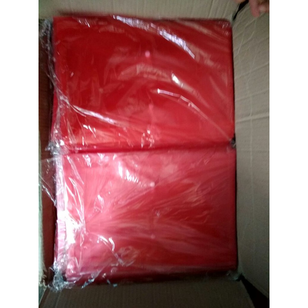 Jual Map Plastik Kancing - Map Kancing Punggung MICRO STAR Merah | Shopee Indonesia