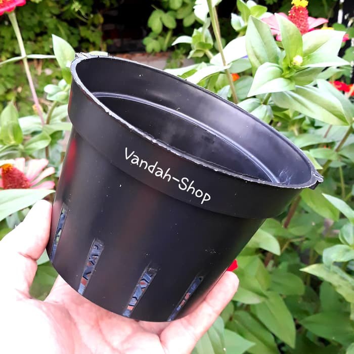 Jual Pot Anggrek Catleya EB160 Diameter 16cm | Shopee Indonesia