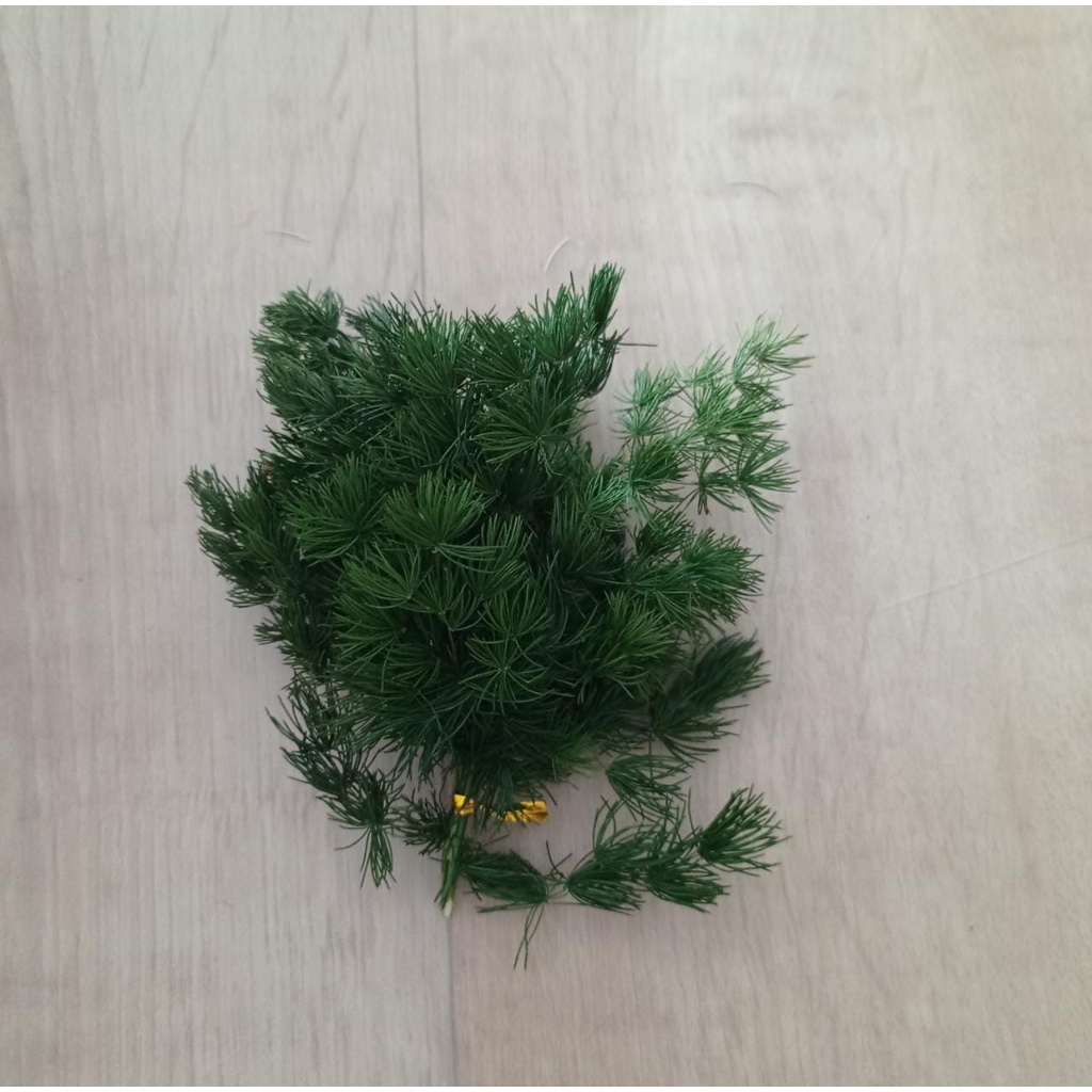 Jual Bunga Asparagus Bintang 5 gram Serba 15 Ribu | Shopee Indonesia