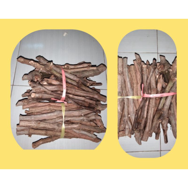 Jual Cutting Stek Anggur Import Berkualitas Beli 5 Bonus Minimal 1 Shopee Indonesia