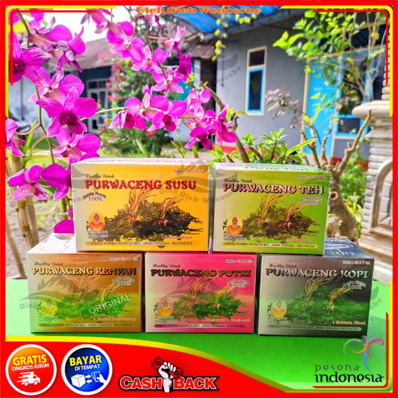 Jual PURWACENG DIENG PURBA ORIGINAL100% / BUBUK MINUMAN HERBAL KHAS ...