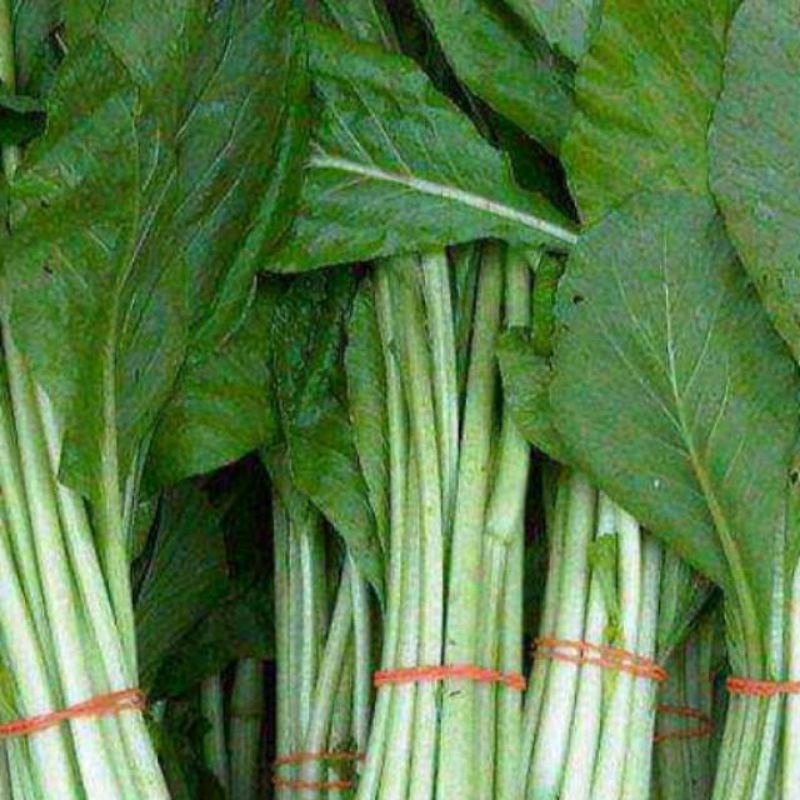 Jual Sawi hijau/ sawi manis/ caisim 500gr | Shopee Indonesia