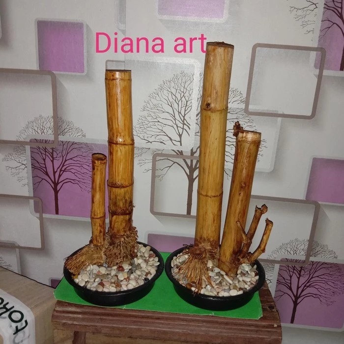 Jual set bambu kering/bambu hias mini. | Shopee Indonesia