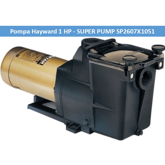 Interesting Hayward 1 Hp Super Pump Photos