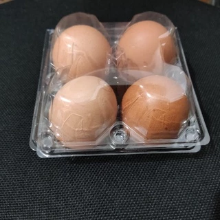 Produk Solusi wadah | Shopee Indonesia