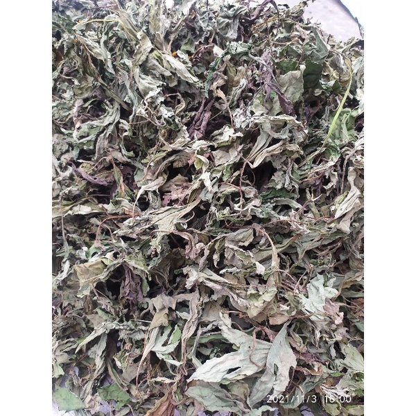 Jual DAUN INSULIN PAITAN ATAU KIPAIT 250 Gram | Shopee Indonesia