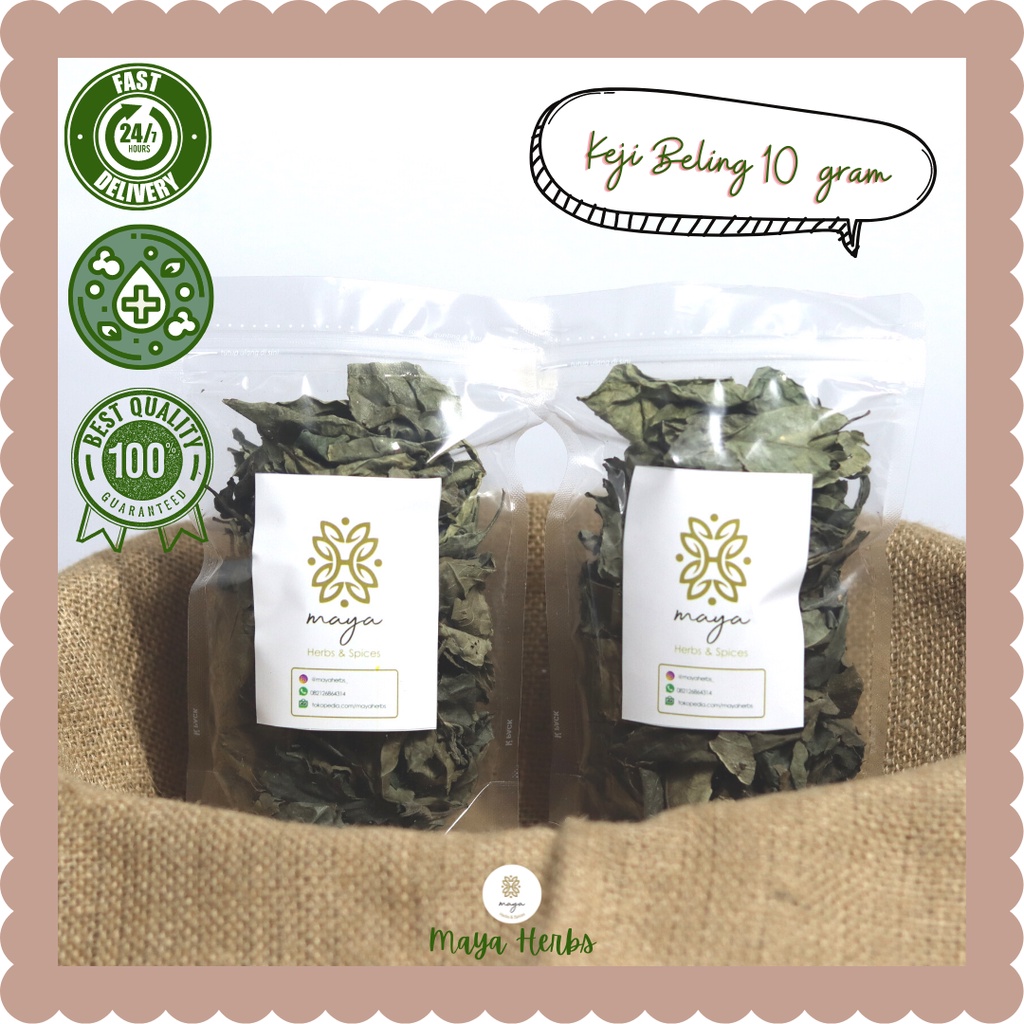 Jual Daun Keji Beling 10 gram ( Pecah Beling / Keci Beling ...