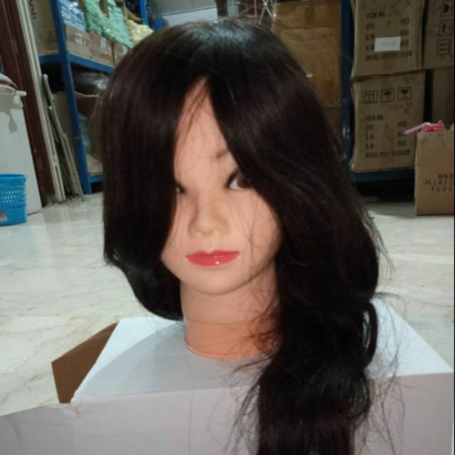 Jual Manekin kepala dengan rambut asli 100% | Shopee Indonesia