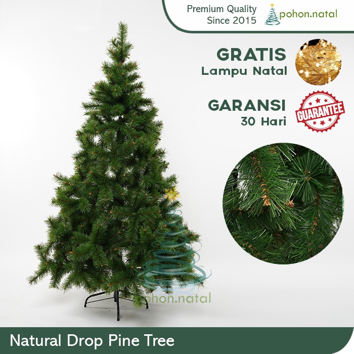 Jual Pohon Natal White Natural Pine Christmas Tree 3ft 90cm 1m | Shopee Indonesia
