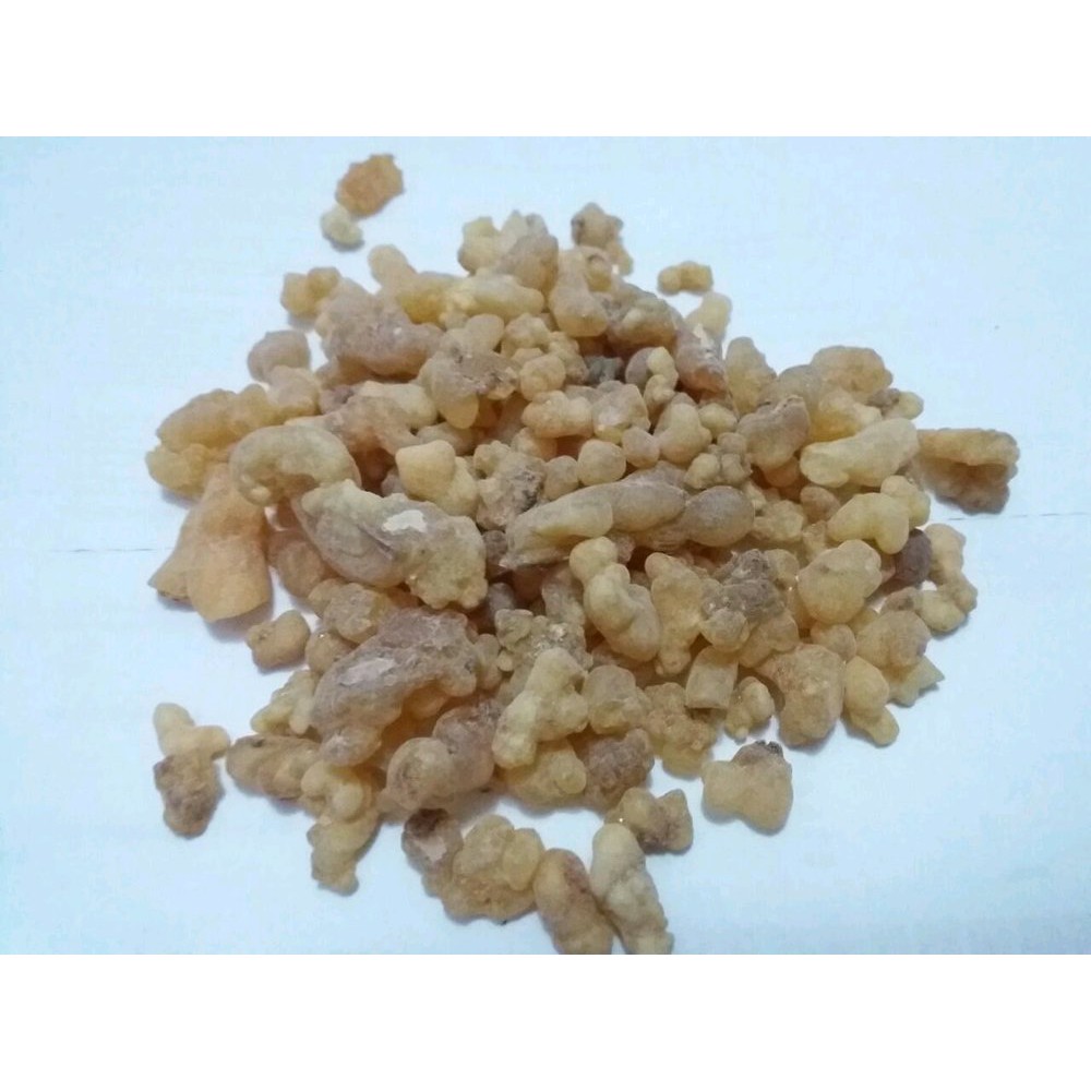 Jual Luban Dakar Mustaki Dupa Bukhur Arab Frankincense 1000 gr 1kg ...