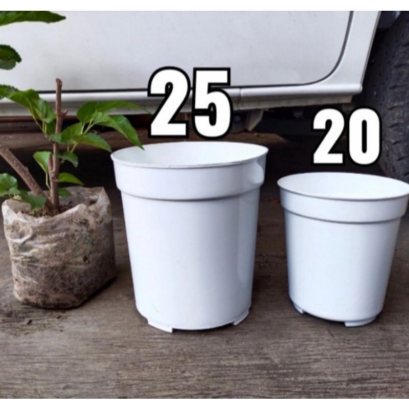 Jual pot tinggi putih 20 cm, pot bunga tanaman tinggi 25, tebal ...