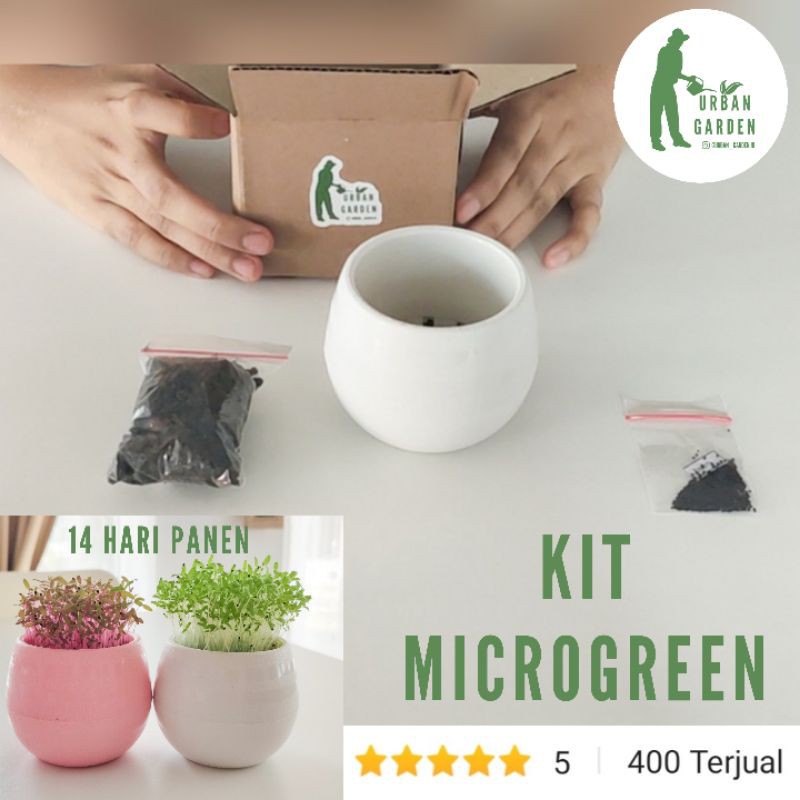 Jual [Urban Garden] Kit Microgreen Sayuran Bayam cocok untuk pemula kit ...