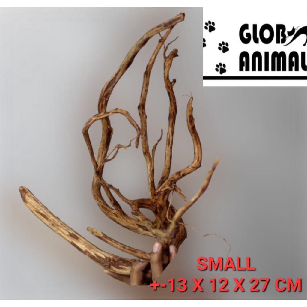 Jual AKAR RASAMALA SMALL kayu rasamala aquascape hiasan aquarium ...