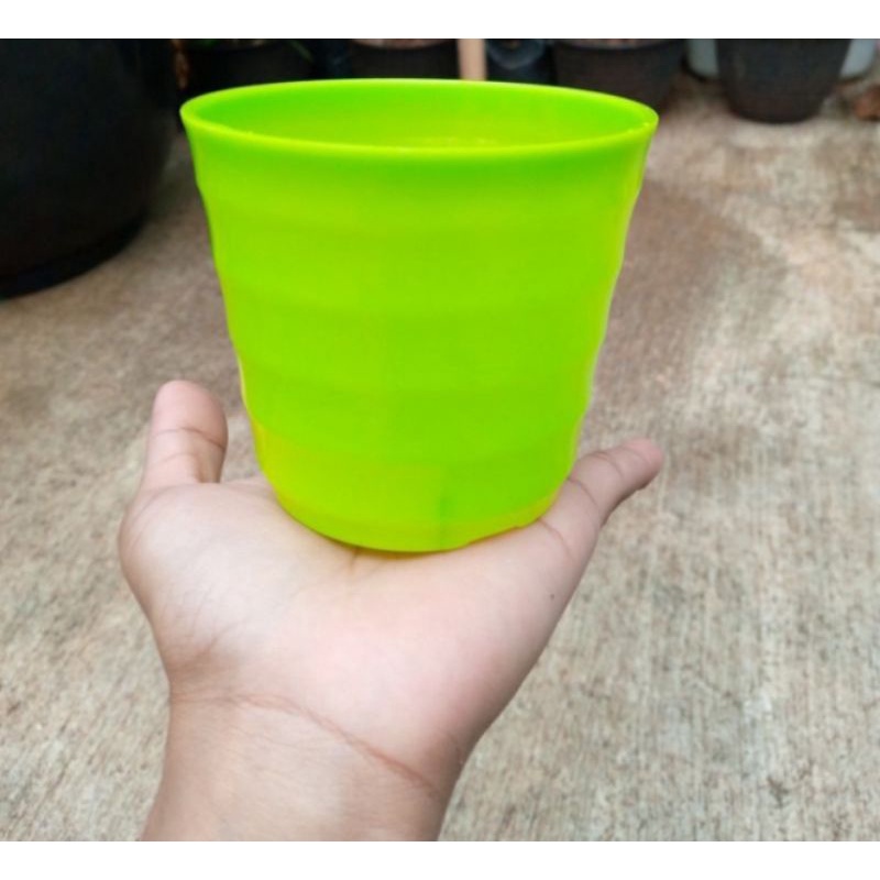 Jual POT BUNGA MADO LOVENIA 10CM/POT BUNGA KAKTUS MINI 10CM | Shopee ...