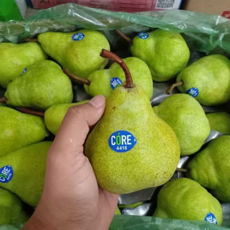 Jual Termurah Pear Hijau Pir Packham 1 Kg Shopee Indonesia