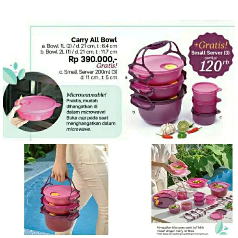 Jual Tupperware Carry All Bowl rantang | Shopee Indonesia