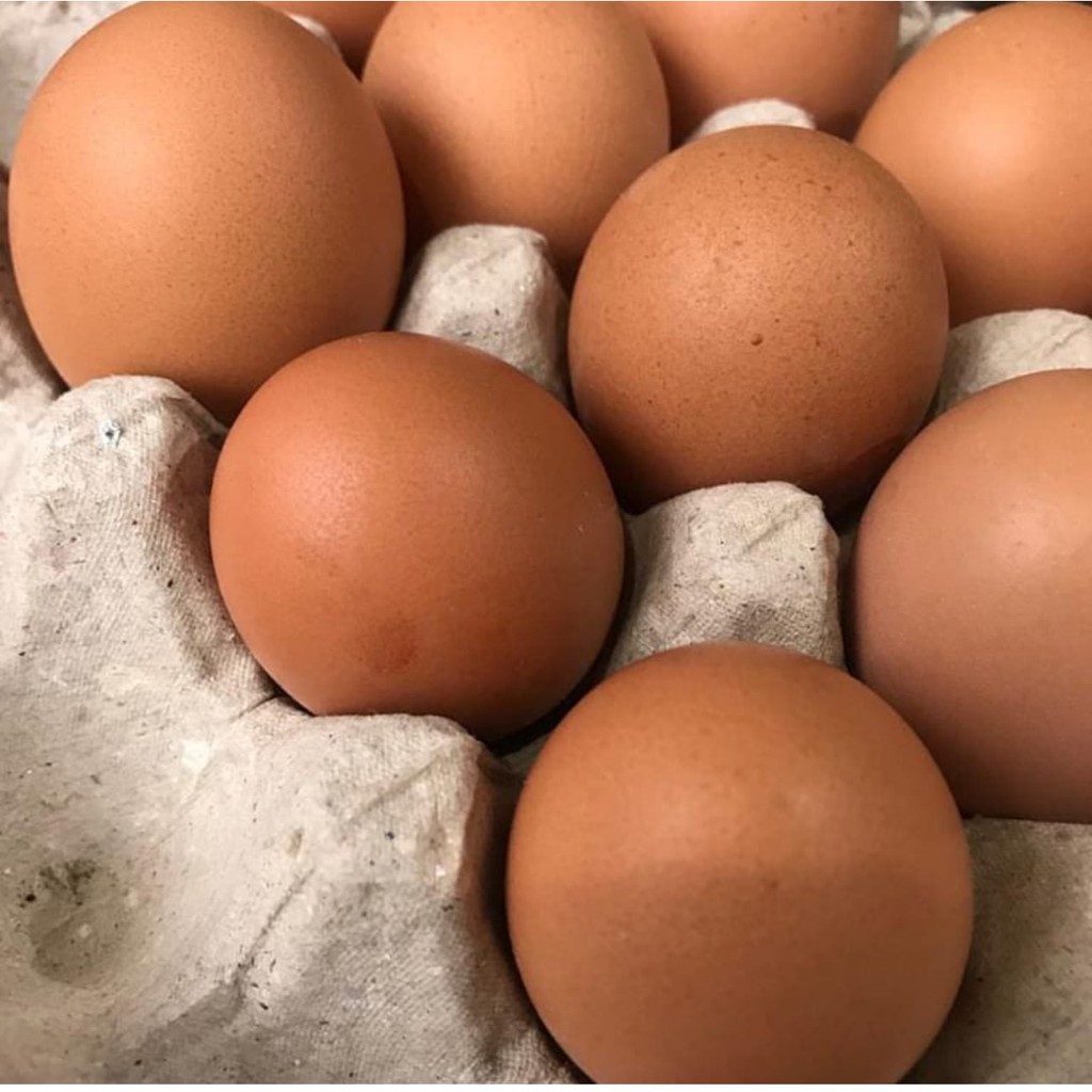 Jual Telur Telor Ayam Negeri Fresh | Shopee Indonesia