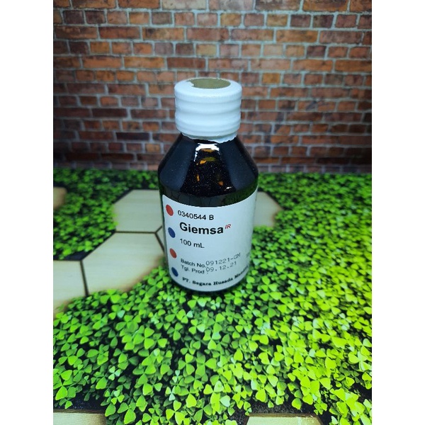 Jual LARUTAN GIEMSA 100 mL | LARUTAN ANALIS | LARUTAN DIAGNOSTICS ...
