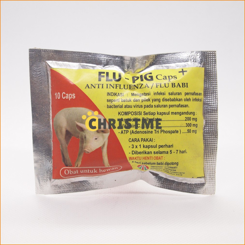 Jual Flu Pig capsul 10 Kapsul - Capsul Obat Anti Influenza Babi ...
