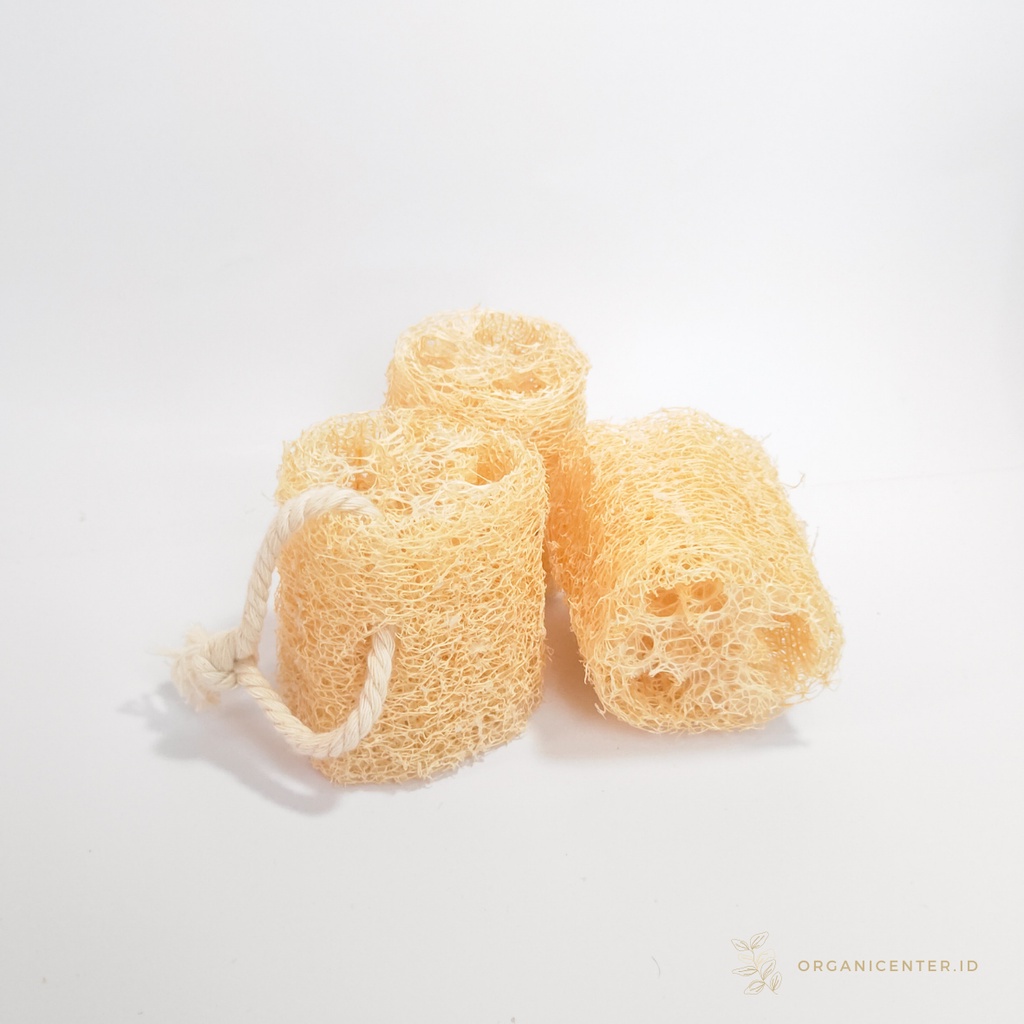 Jual Loofah Sponge Mini / Spons Gambas Natural Alami / Spons Sabut Cuci ...