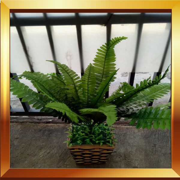 Jual Hot artificial tanaman pakis size besar | Shopee Indonesia