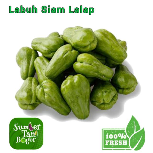 Jual LABU SIAM LALAP PER 500 GRAM | Shopee Indonesia