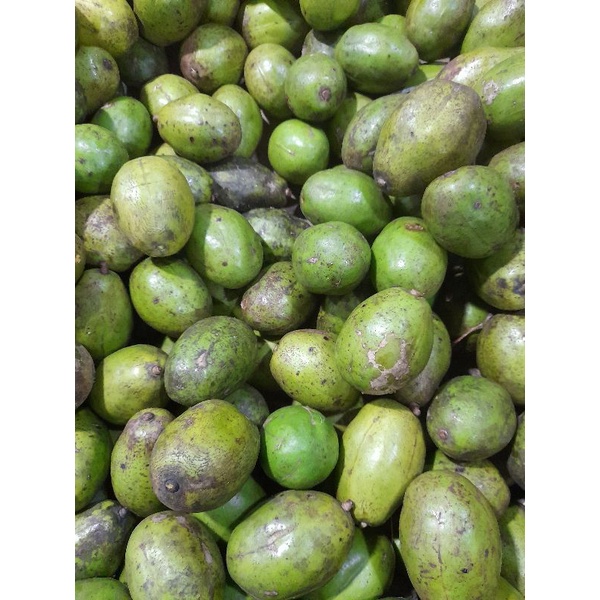 Jual kedondong 1 kg | Shopee Indonesia