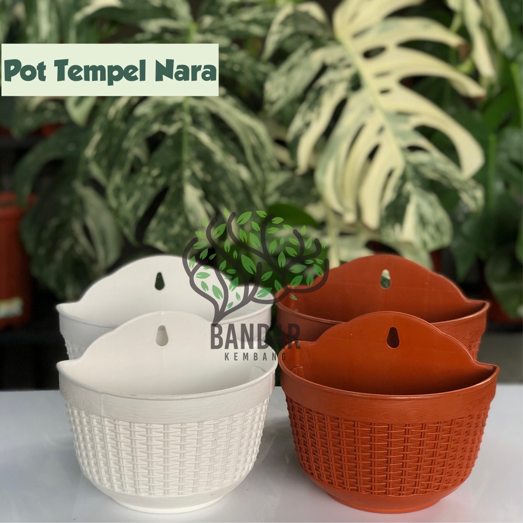 Jual Pot Dinding Tempel Anyam Nara CJP 18 - Pot Dinding Tempel Tembok ...
