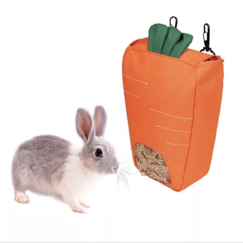 Jual ONEL SHAPE CARROT HAY BAG/tempat makan kelinci marmut/hay rack ...