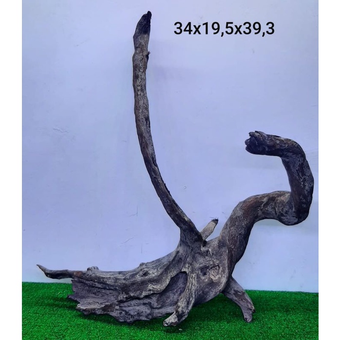 Jual Kayu Santigi Laut - kayu tenggelam - Aquascape - 34x19,5x39,3 A ...