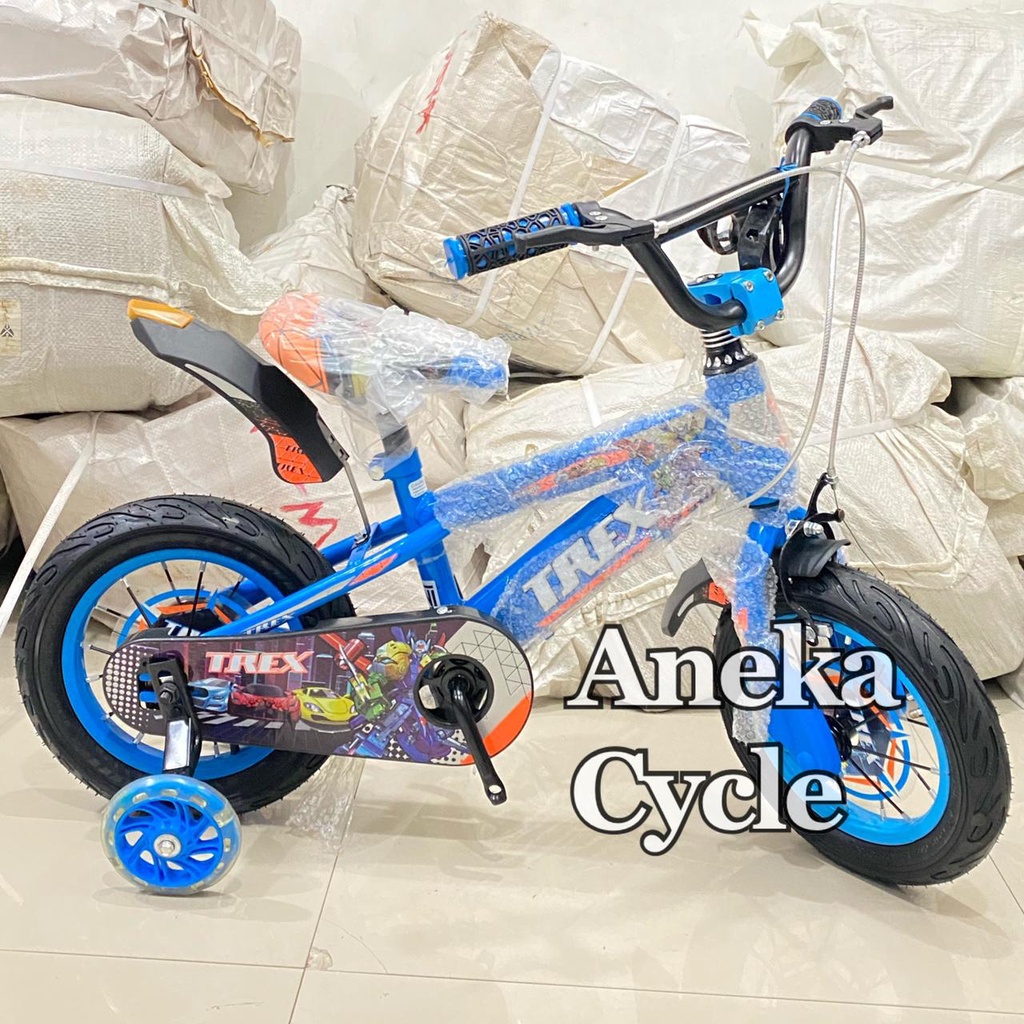 Jual Sepeda Anak Roda Empat Cowok BMX Trex Cyberbots 12 Inch | Shopee ...