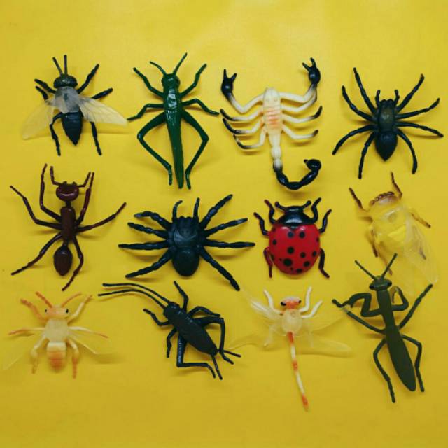Jual Objek Replika Serangga 13 pcs / Insect Toobs / Mainan Montessori ...