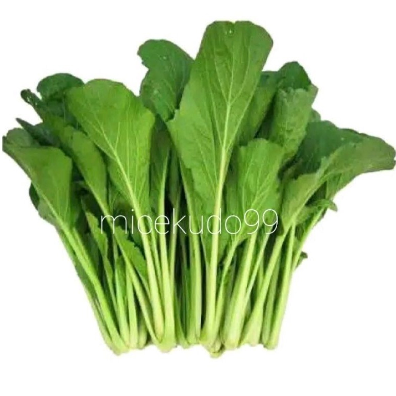 Jual SAWI HIJAU 1KG SEGAR / SAYUR CAISIM / MUSTARD GREENS FRESH CAI SIM | Shopee Indonesia