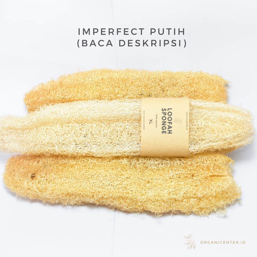 Jual Loofah Sponge XL / Spons Loofah Natural Alami / Spons Sabut Cuci ...