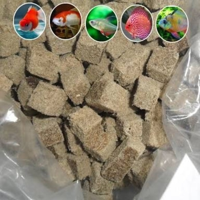 Jual cacing kering pakan ikan cupang discus lohan koi discus gapi ...