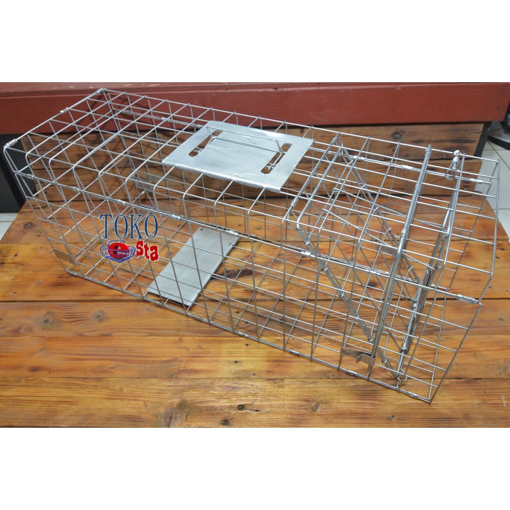 Jual Perangkap Jebakan Kucing Musang Garangan Tikus Besat Hewan Liar ...