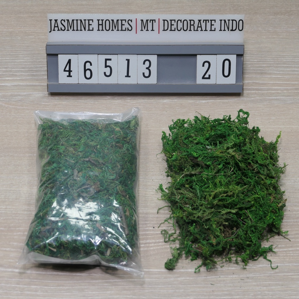 Jual Lumut Hias Moss Rangkaian Bunga Bungkus Kecil 46513 30 | Shopee ...