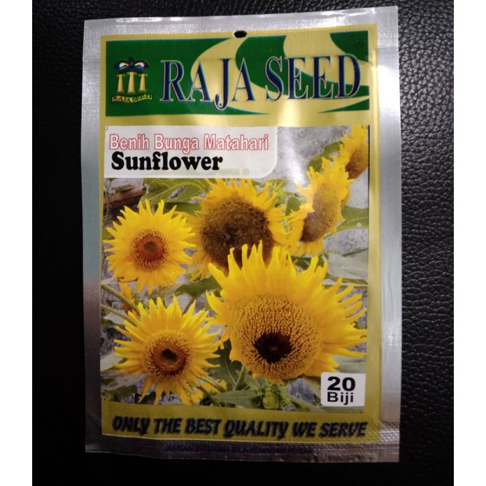 Jual Benih Bunga Matahari Sunflower Raja Seed (20 biji) | Shopee Indonesia