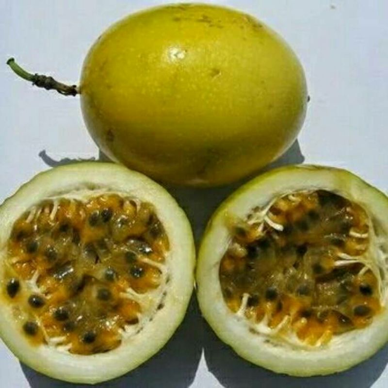 Jual Buah Markisa Segar 500 gram | Shopee Indonesia