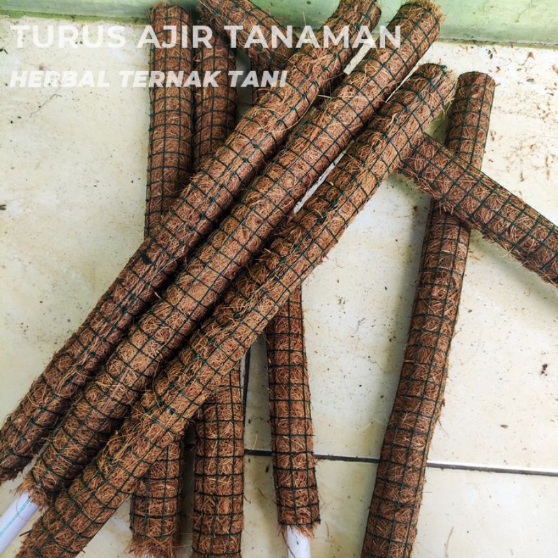 Jual Turus untuk tanaman rambat ukuran 50cm | Shopee Indonesia