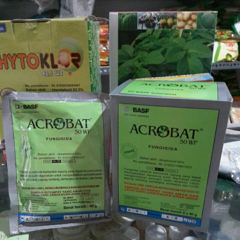 Jual Fungisida Acrobat 40 gr | Shopee Indonesia