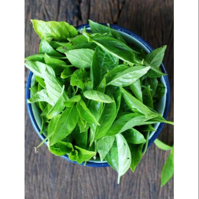 Jual Daun kemangi Surawung | Shopee Indonesia