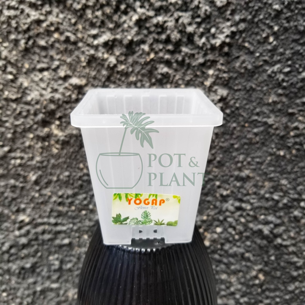 Jual (LUSINAN) Pot Plastik YOGAP KOTAK 9cm - YPK 8 - BENING TRANSPARAN ...