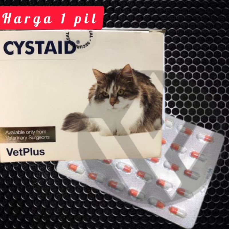 Jual Cystaid cat plus per kapsul gangguan saluran kemih dan batu pada ...