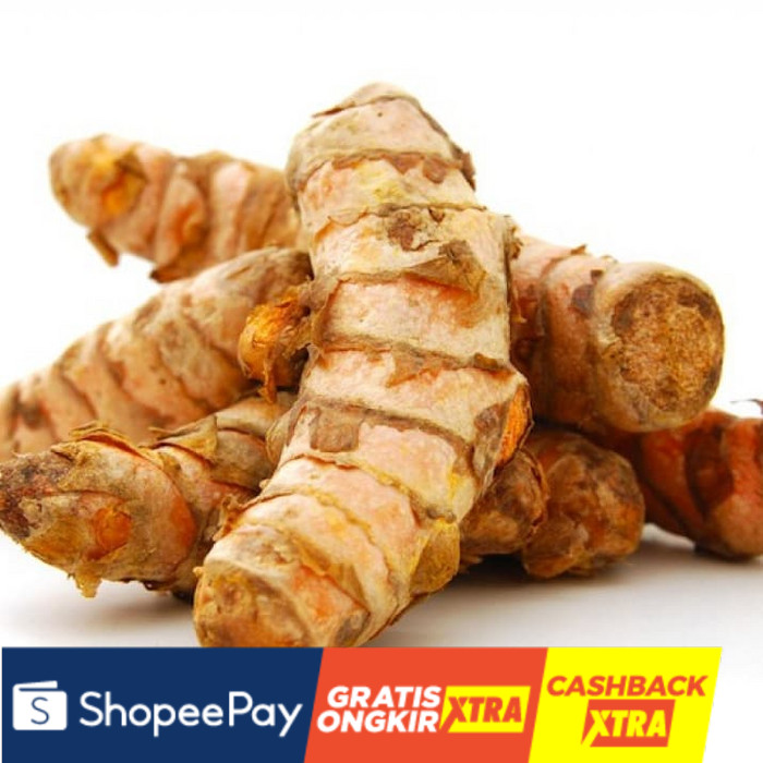 Jual Java Turmeric/Temulawak Extract (500 ml) - Cosmetic Grade | Shopee ...