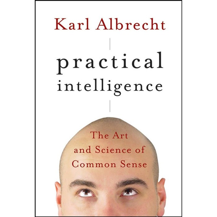 Jual Practical Intelligence The Art and Science of Common (Karl ...